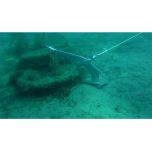 Ultra Marine Anchor Ring for Anchors Up To 27Kg / 60lbs |UAR27