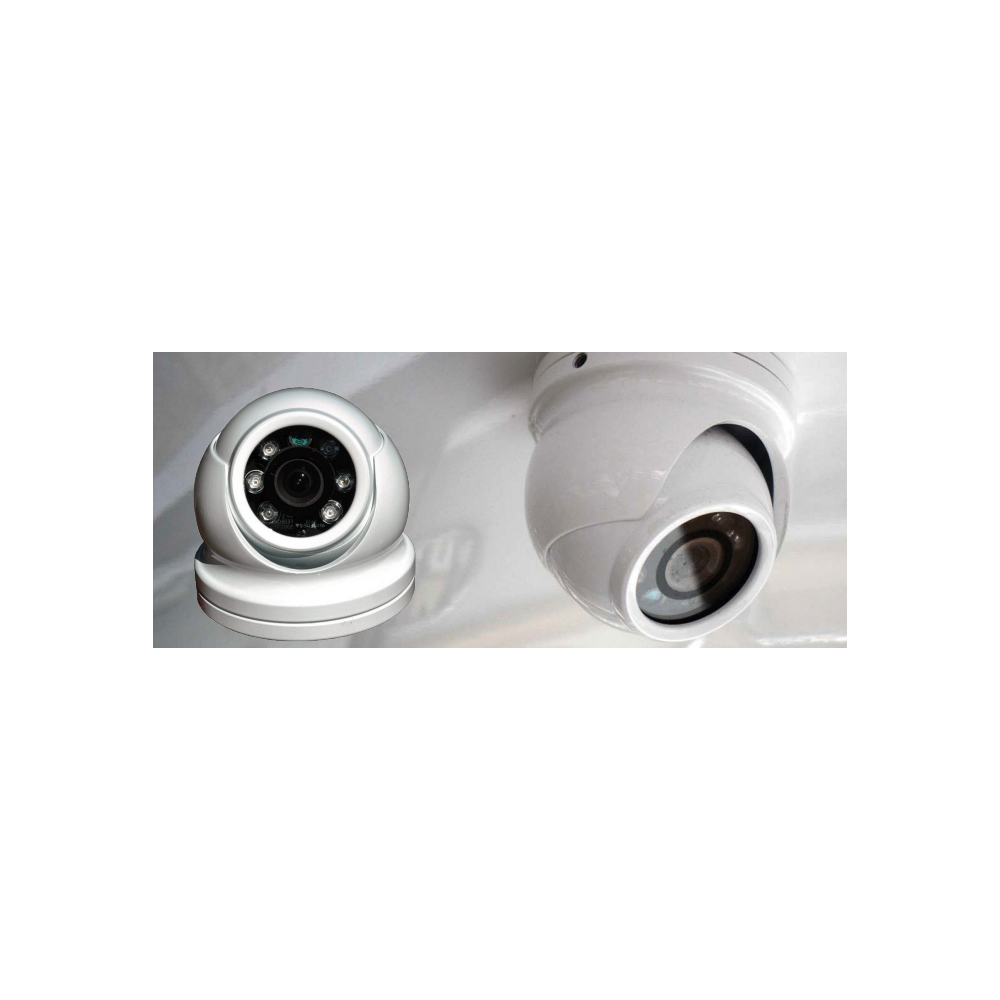 IRIS066 Mini Eye Ball Dome Camera | IRIS066
