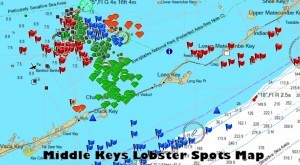 Guide to Lobstering in Florida | Online Florida Lobstering Handbook