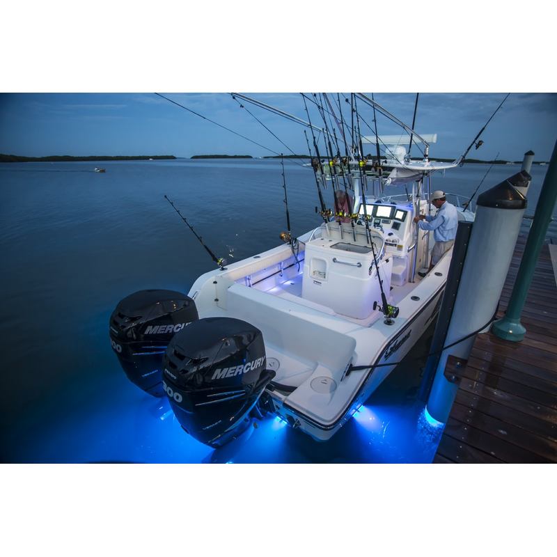 SHADOW-CASTER SCR -24 Underwater LED Lights - Blue and White
