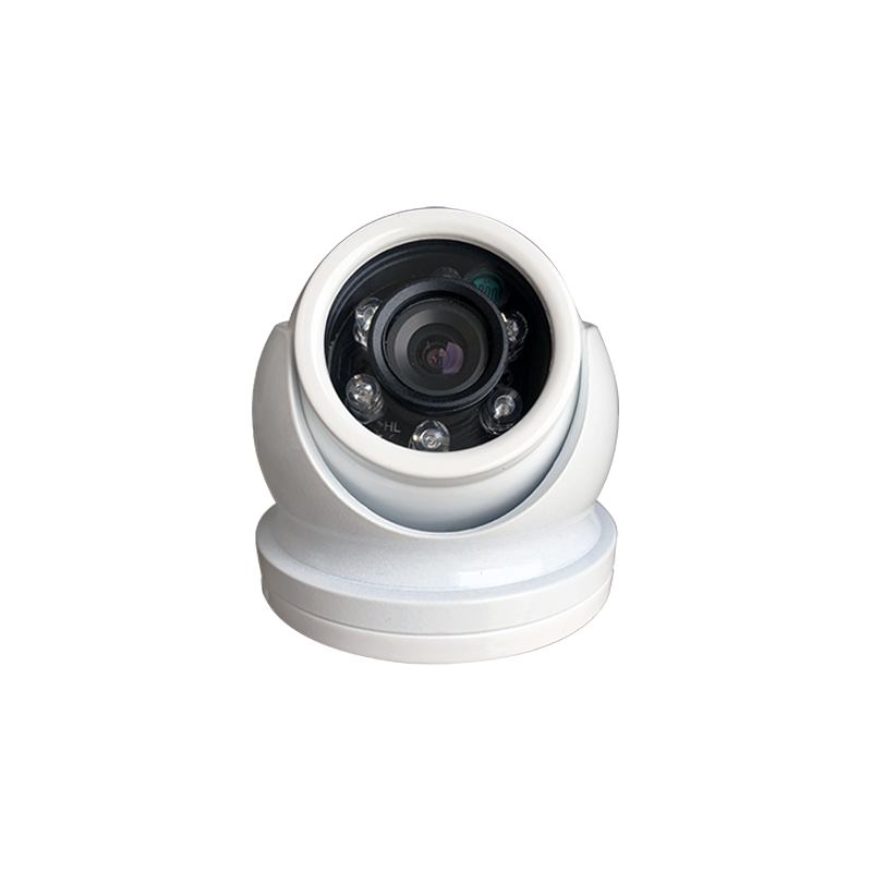 IRIS066 Mini Eye Ball Dome Camera | IRIS066