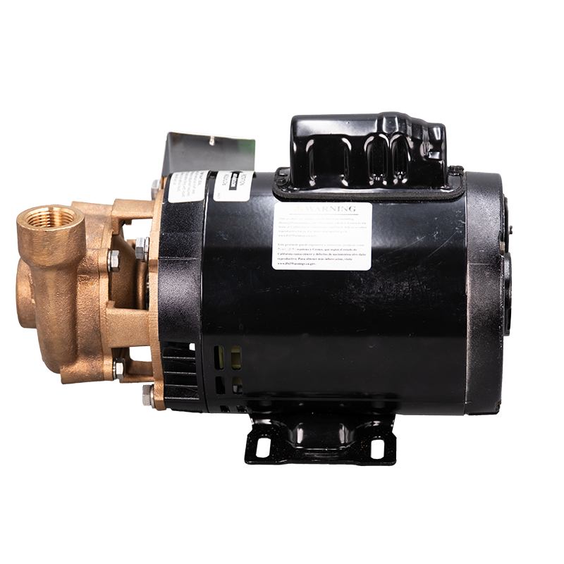 SCOT PUMP 35065-2 / B35065J331A05XX Marine Pump | Citimarine Store